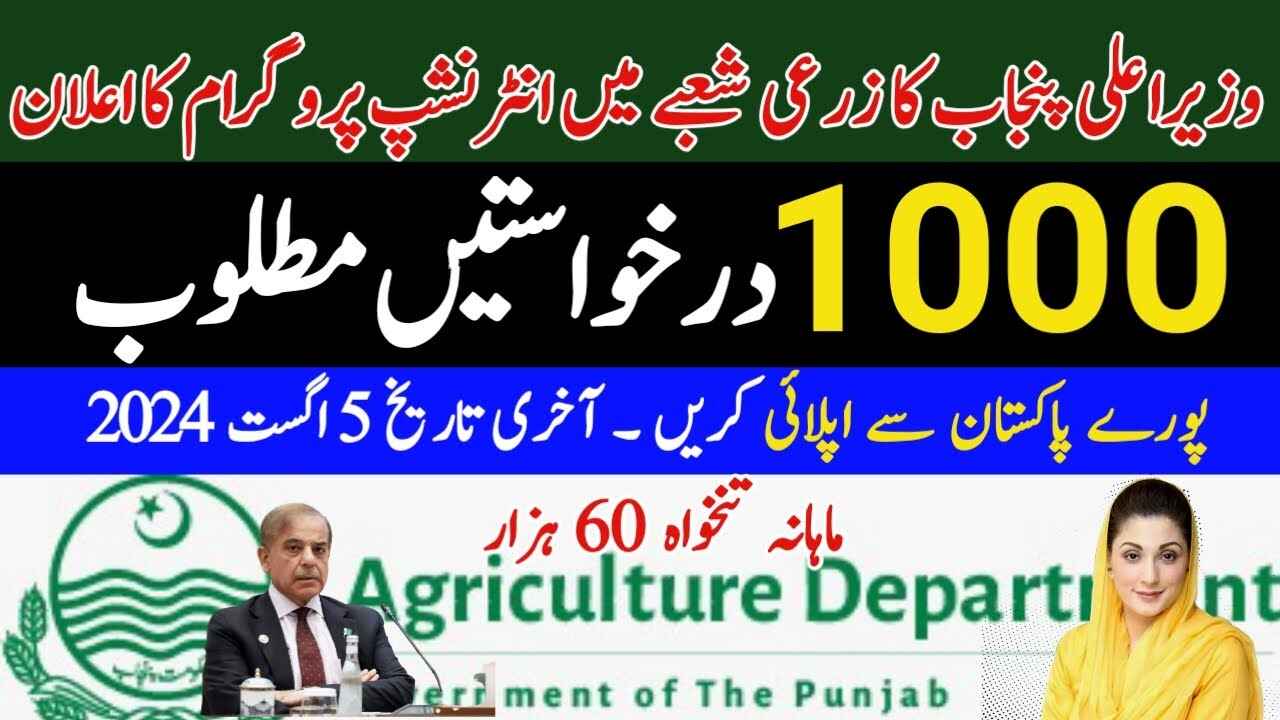 CM Punjab Graduates Internships Program 2024